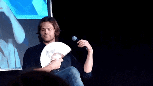 Fans GIF - Find on GIFER