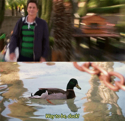 Parks and recreation parks and rec GIF on GIFER - by Manathris