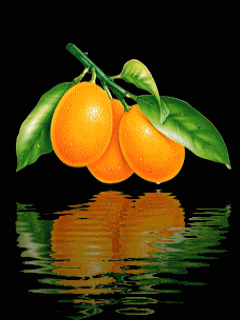 Orange GIF - Find on GIFER