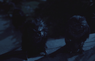 Faceless GIF - Find on GIFER