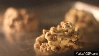 GIF baking - animated GIF on GIFER