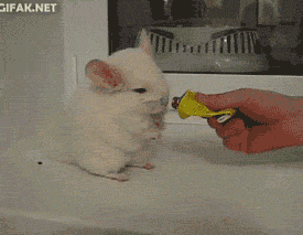 Lauren bacall GIF - Find on GIFER