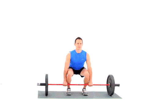 GIF exercise - animated GIF on GIFER