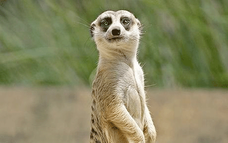 Week 7 GIF - Find on GIFER