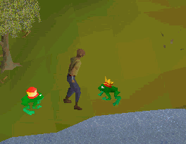 Frogs GIF - Find on GIFER