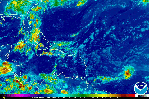 Tropical GIF - Find on GIFER