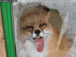 Problem GIF - Find on GIFER