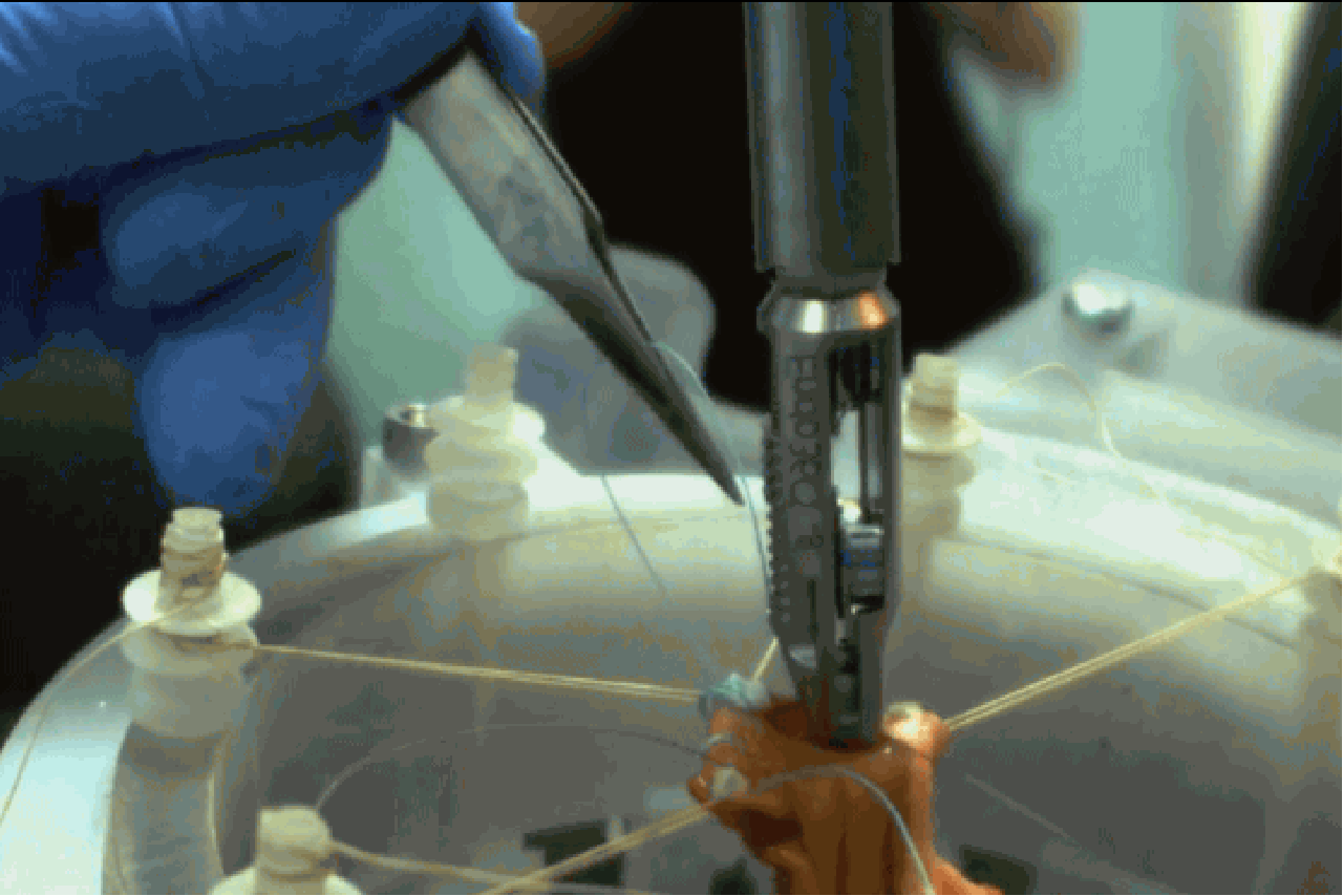 GIF robot - animated GIF on GIFER