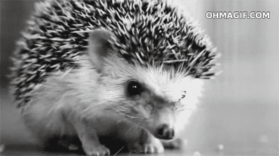 Cooking sniffing GIF - Find on GIFER