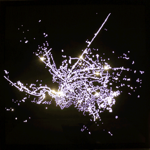 Nancy pelosi trippy pepe GIF - Find on GIFER