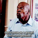GIF terry - animated GIF on GIFER