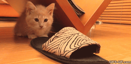 Stuck GIF - Find on GIFER