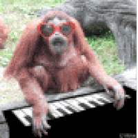 Cheeky GIF - Find on GIFER