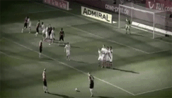 Gifs Raros Y Divertidos