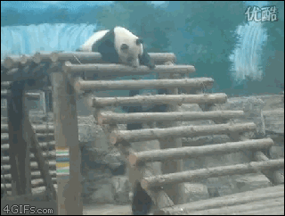 Help brother scar GIF - Find on GIFER