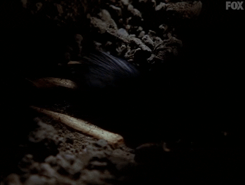 Xfiles the x files GIF - Find on GIFER