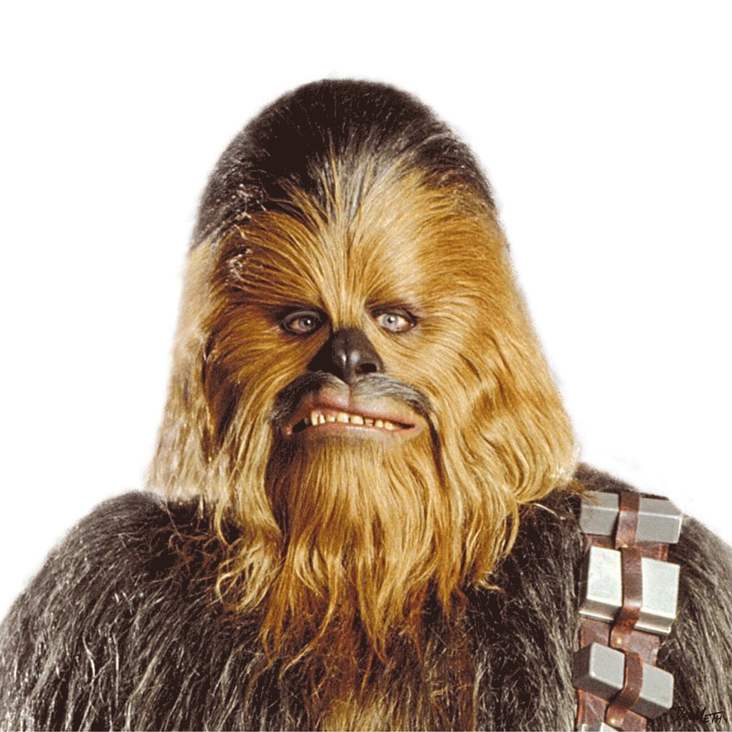 GIF wookie - animated GIF on GIFER