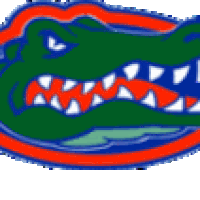 GIF gators - animated GIF on GIFER