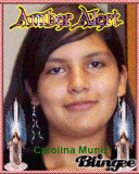 GIF amber alert - animated GIF on GIFER