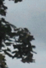 Lm GIF - Find on GIFER