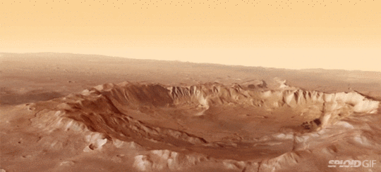 GIF brown - animated GIF on GIFER