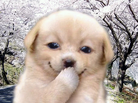 Golden GIF - Find on GIFER