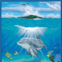 GIF dolphin - animated GIF on GIFER