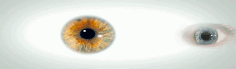 GIF i origins - animated GIF on GIFER