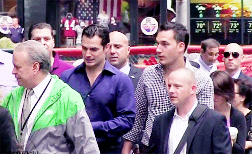 Chameleon animals reptile GIF - Find on GIFER