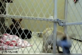 User GIF - Find on GIFER