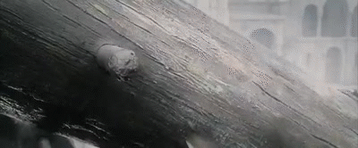 The return of the king GIF - Find on GIFER