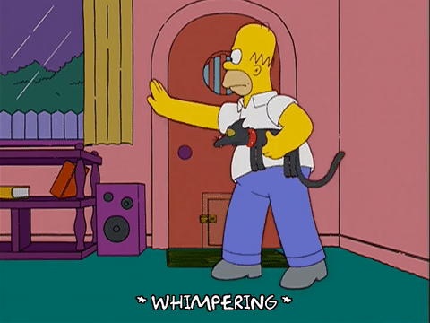 14x14 homer simpson GIF - Pesquisar em GIFER