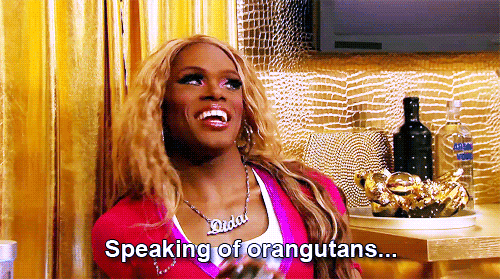 Rupauls drag race dida ritz GIF - Find on GIFER
