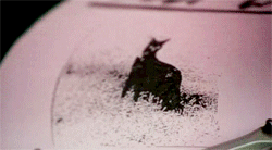 Google removed Broad Match Modifier. Different ways to Succeed in ...