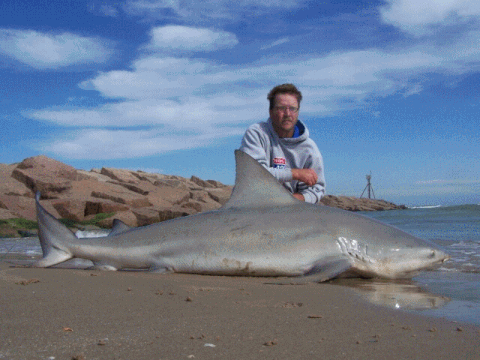 Fishing GIF - Find on GIFER