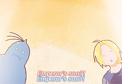 China cat reaction GIF - Find on GIFER