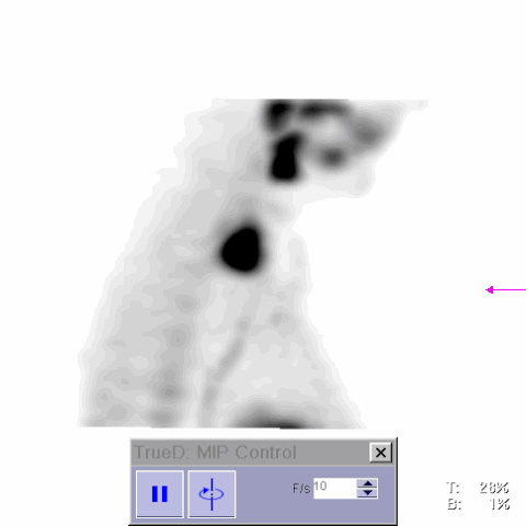 Scan GIF - Find on GIFER