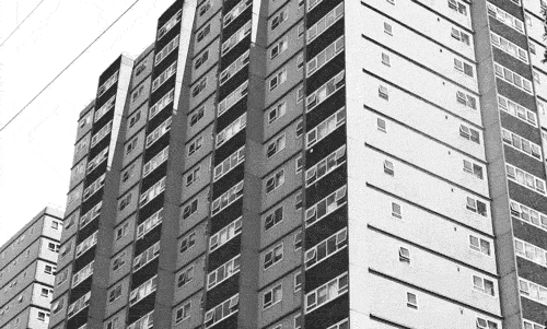 Fash GIF - Find on GIFER