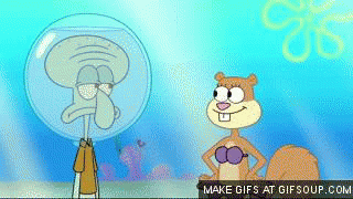 Sandy GIF - Find on GIFER