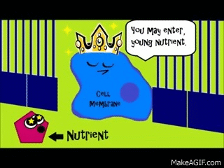 The cell GIF - Auf GIFER finden
