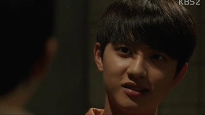 Hoya Reply 1997 Gif