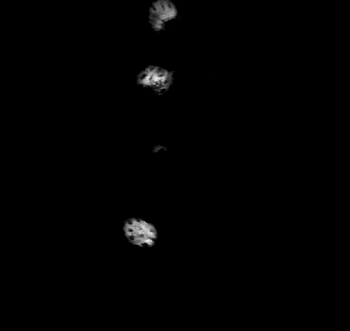 Mri bunch strawberry GIF - Find on GIFER