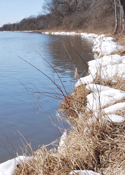 Гифка пейзаж река вода гиф картинка, скачать gif на GIFER