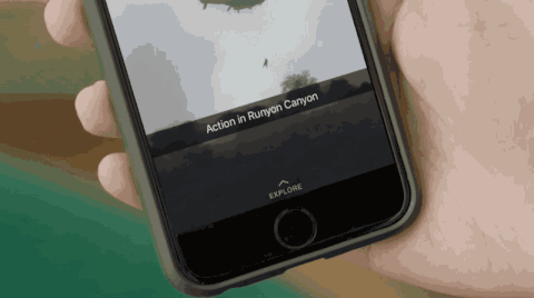 GIF snapchat - animated GIF on GIFER