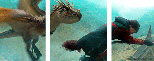 Quidditch harry potter harry GIF - Find on GIFER