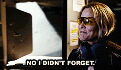 Maria bello prime suspect tvprime suspect GIF - Find on GIFER