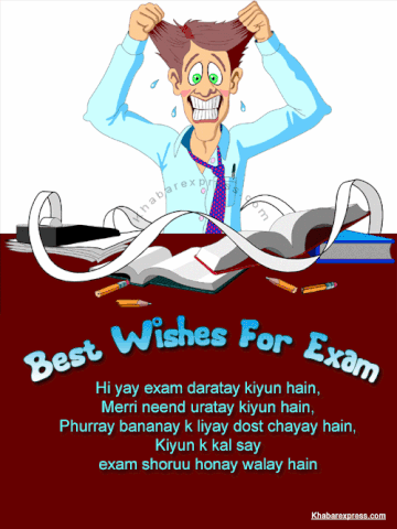 GIF exams - animated GIF on GIFER
