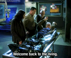 GIF sara sidle csi csi cbs - animated GIF on GIFER