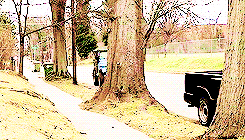 GIF cuba - GIF animado em GIFER