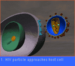 Viral GIF - Encontrar em GIFER